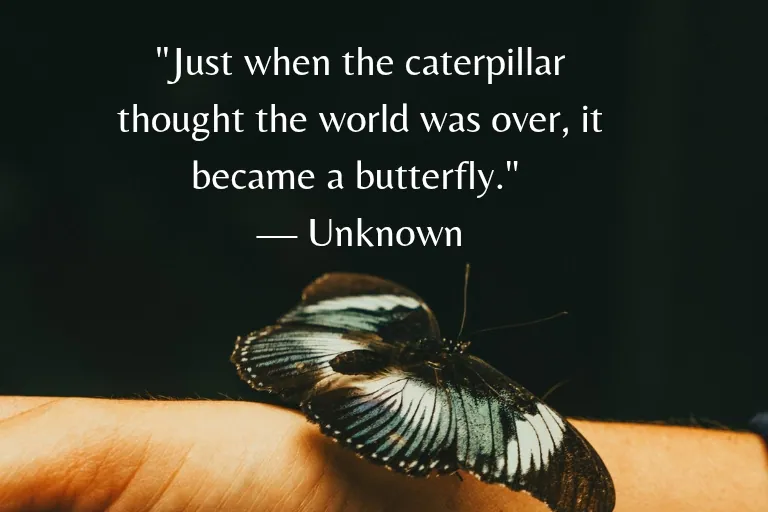 55+ Butterfly Quotes to Inspire Transformation & Beauty